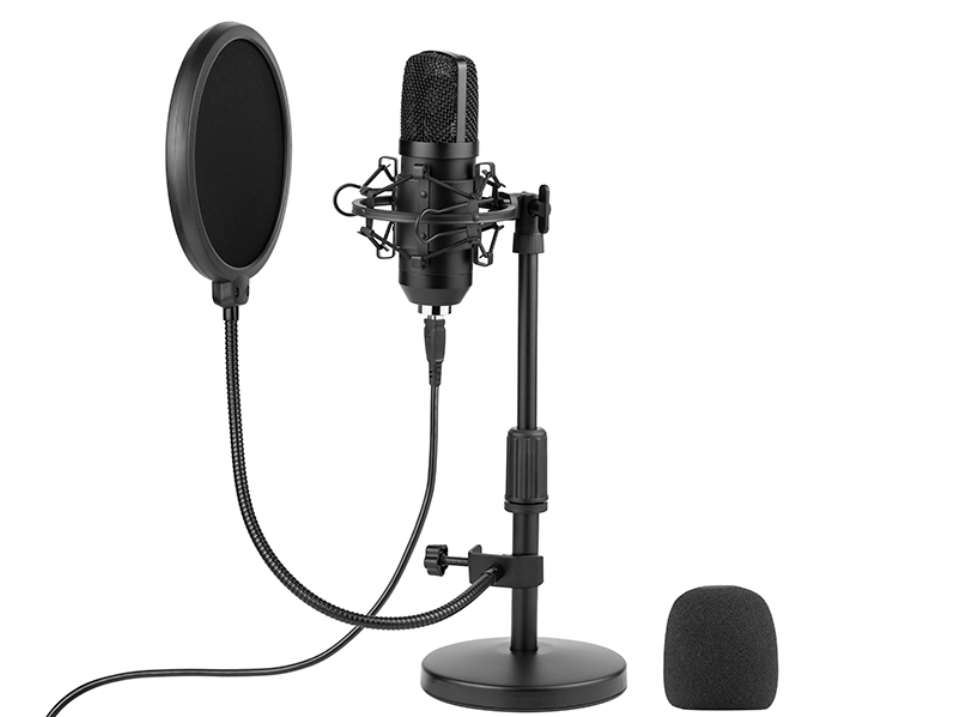 Mikrofonas MANTA MIC11-PK Bluetooth pink - Topocentras