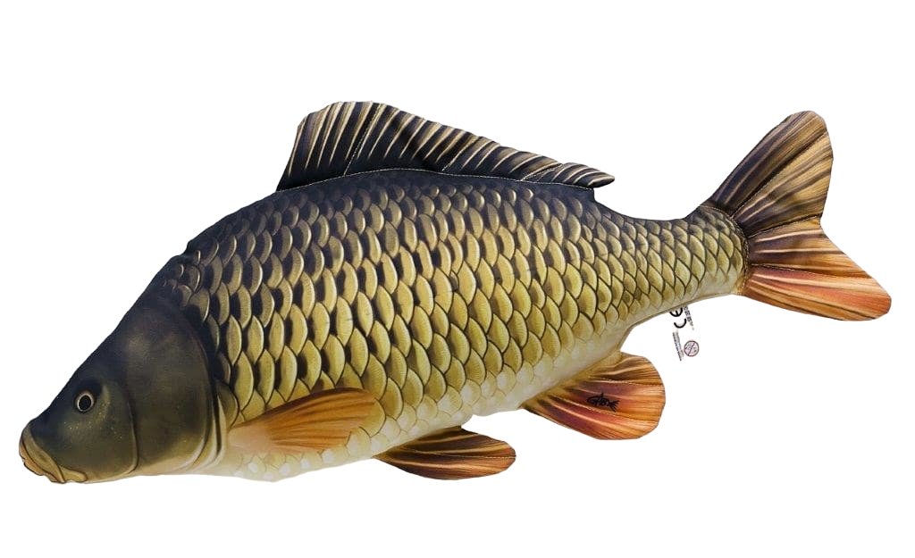 Pagalvėlė Paprastasis karpis - Topocentras